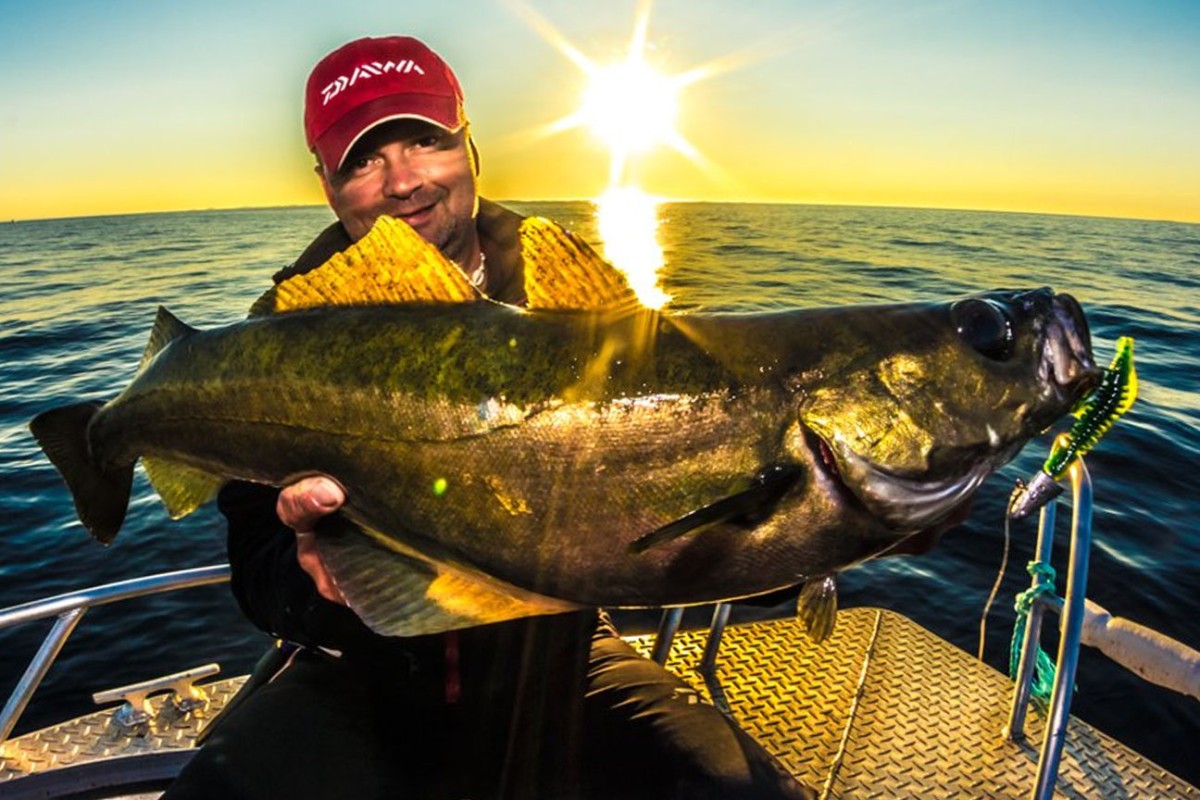 Jak na mořskou přívlač v Norsku? | topfishing.cz